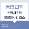 2022 통합과학 생명시스템 물질대사와 효소 완벽 정리 네이버 블로그